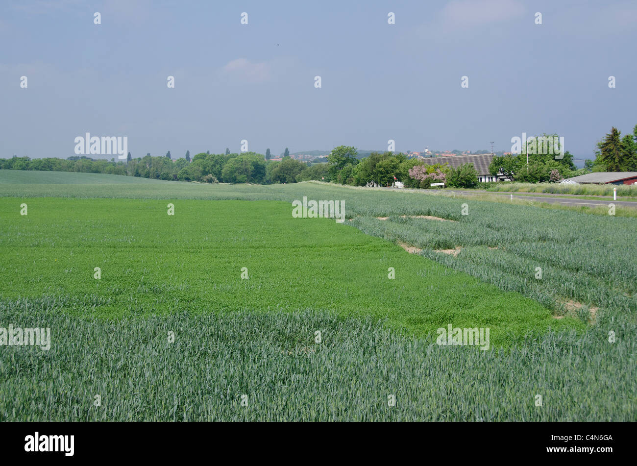 Denmark, Island of Bornholm. Countryside near Gudhjem Stock Photo - Alamy