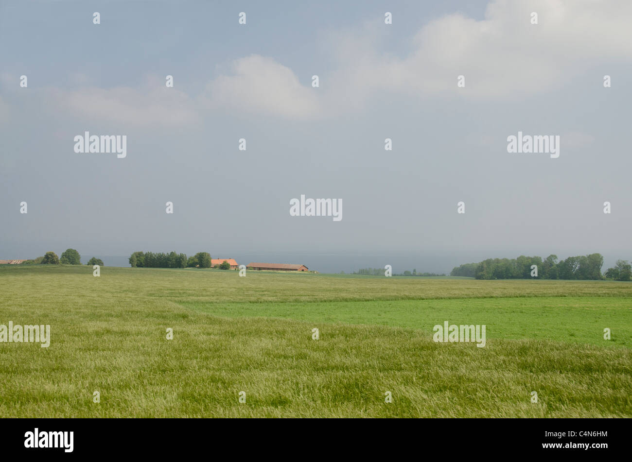Denmark, Island of Bornholm. Countryside near Gudhjem along the Baltic ...