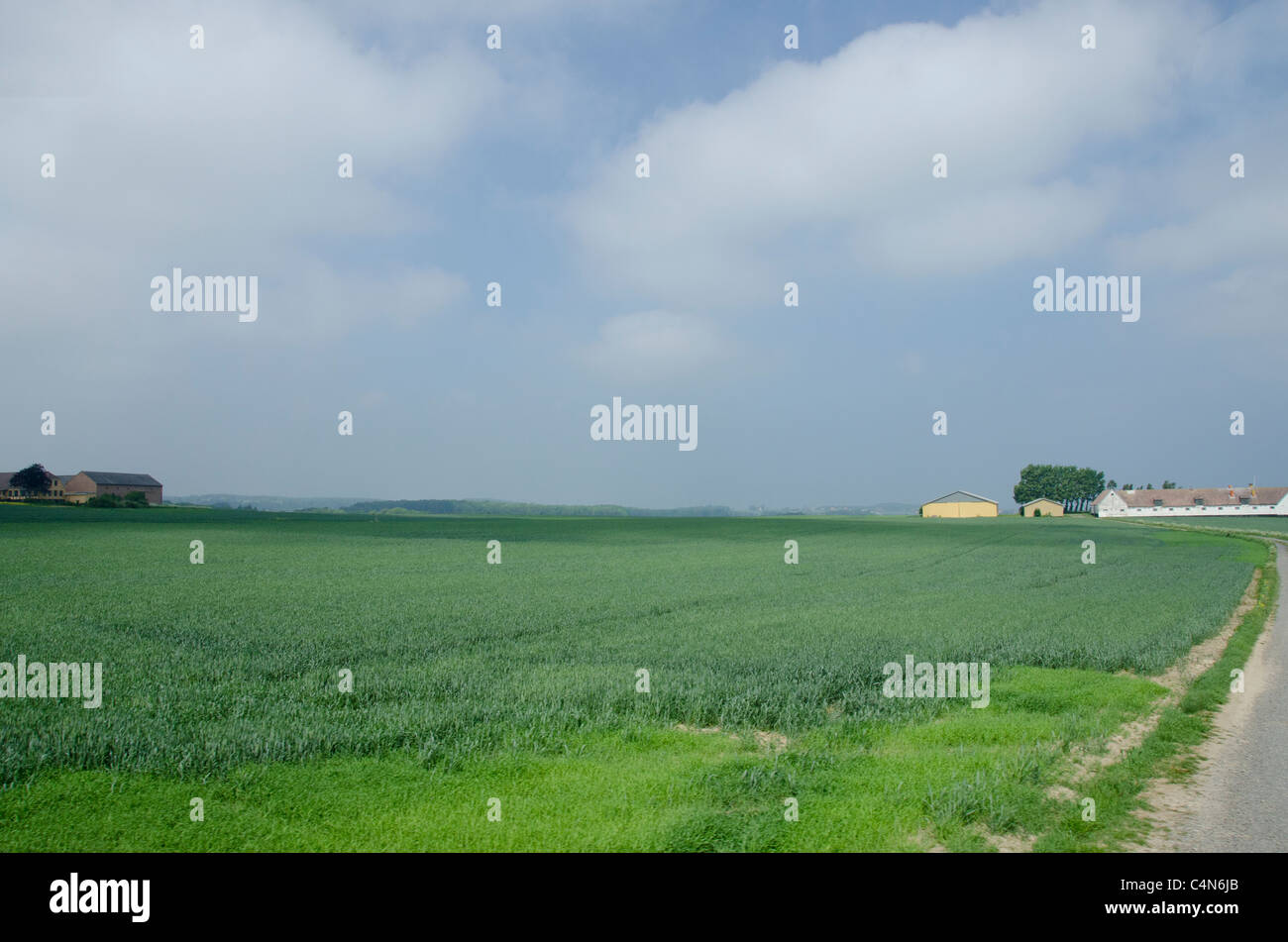 Denmark, Island of Bornholm. Countryside farm near Gudhjem Stock Photo ...