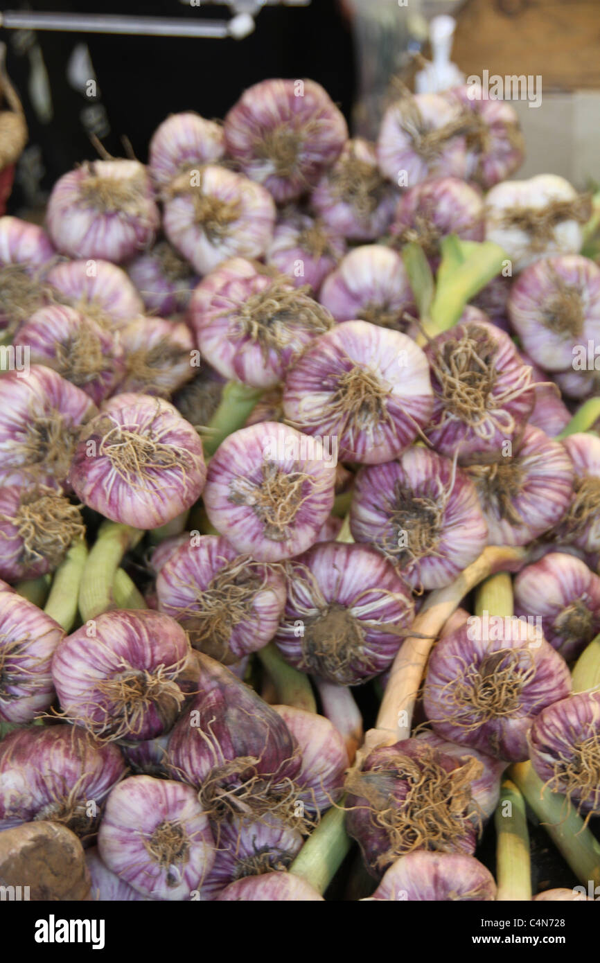 Garlick Stock Photos & Garlick Stock Images - Alamy