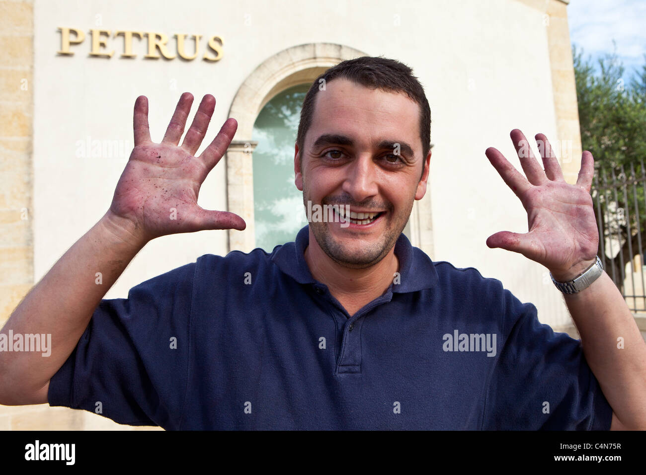 Oenologist Jean Claude Berrouet shows grape-stained hands at Petrus ...