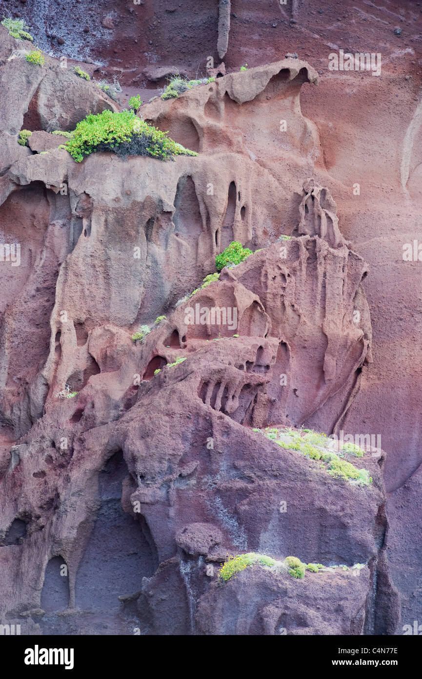 Eroded Volcanic Ash cliffs, Las Desertas Islands, Madeira, Protected ...
