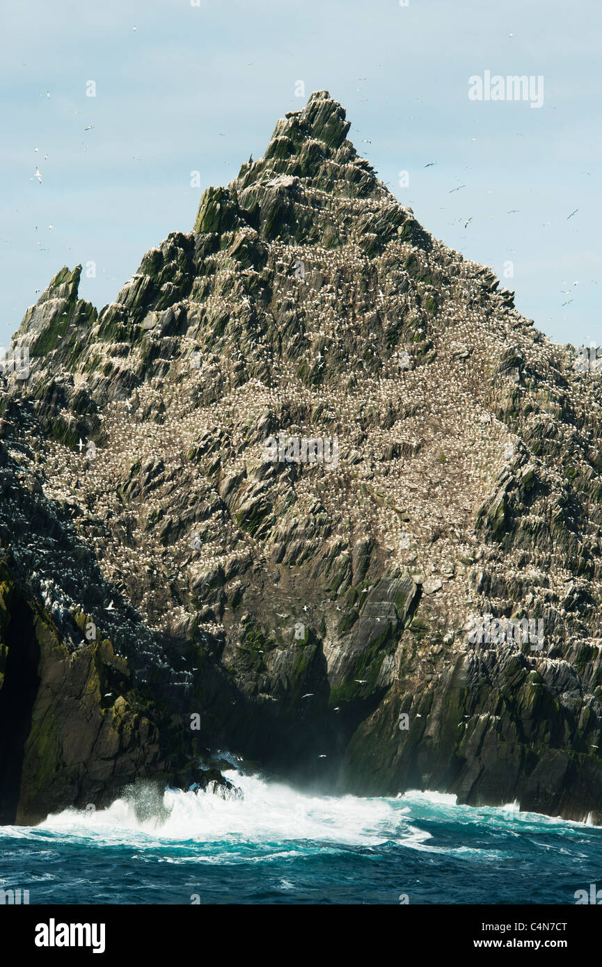 Skellig hi-res stock photography and images - Alamy