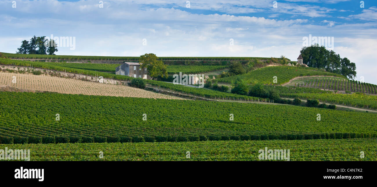 Vineyards at St Emilion in the Bordeaux wine region of France Stock ...