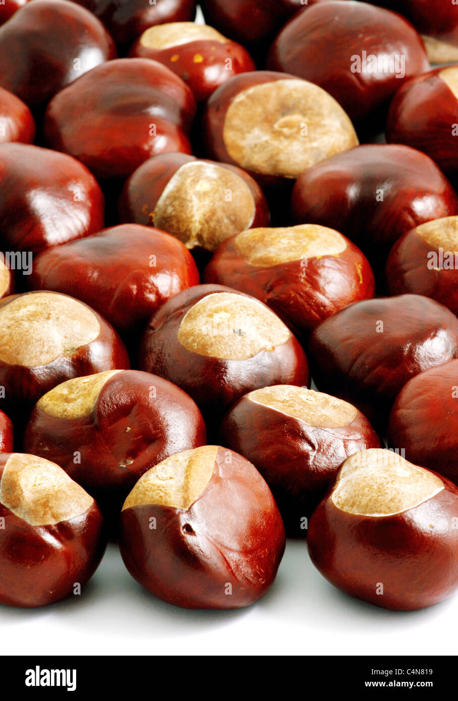 Chestnut oil extract hi-res stock photography and images - Alamy
