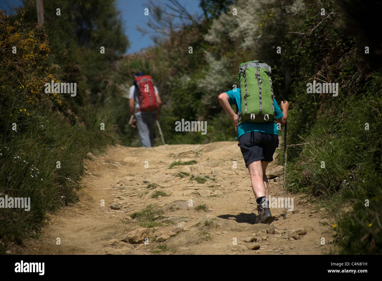 Pilgrims walk uphill in a track of the French Way of St. James, La ...