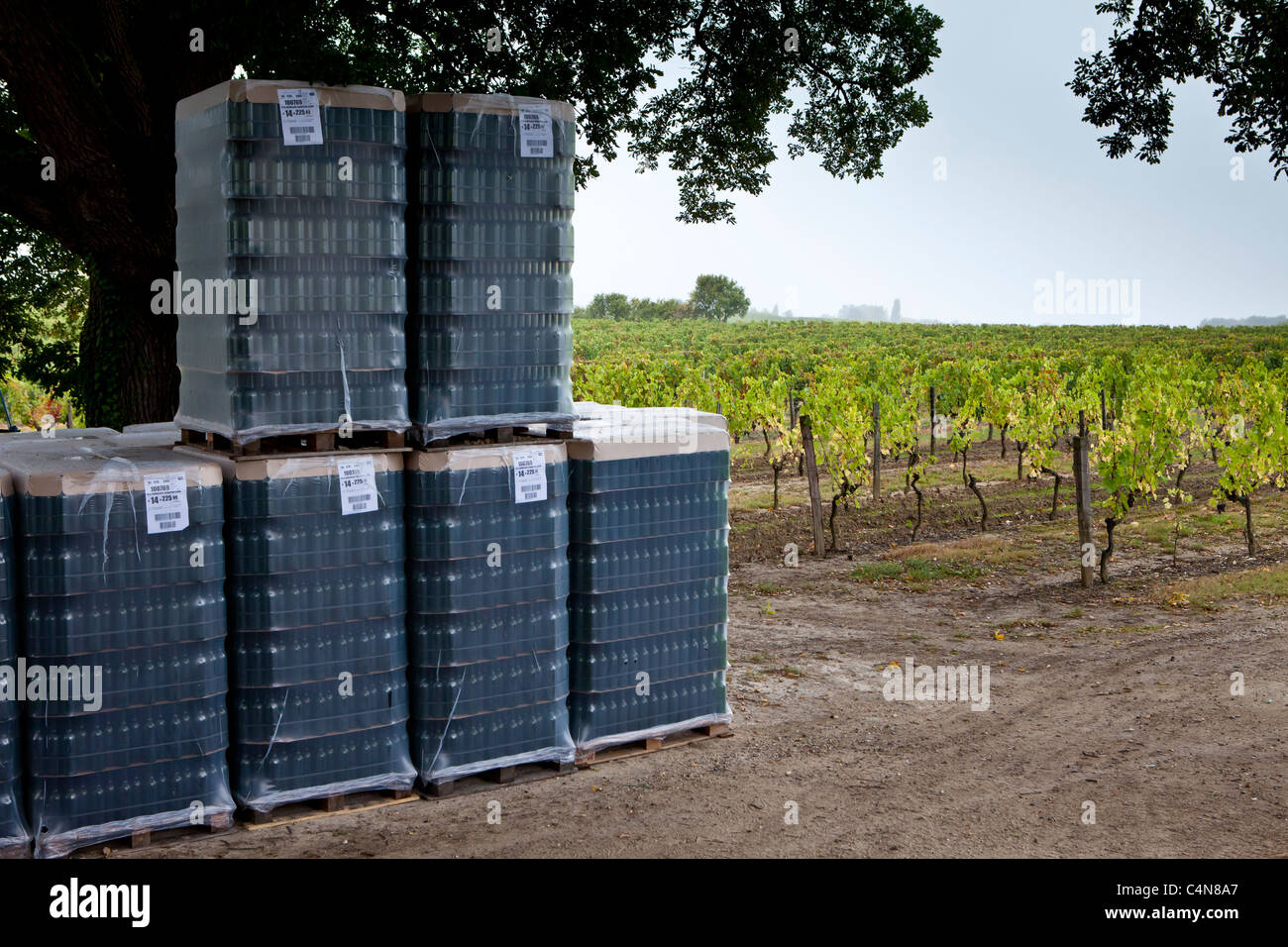 Shrink wrapped bottles hi-res stock photography and images - Alamy