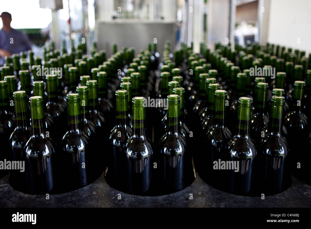 Wine bottling at the vineyard at Chateau Fontcaille Bellevue in the ...