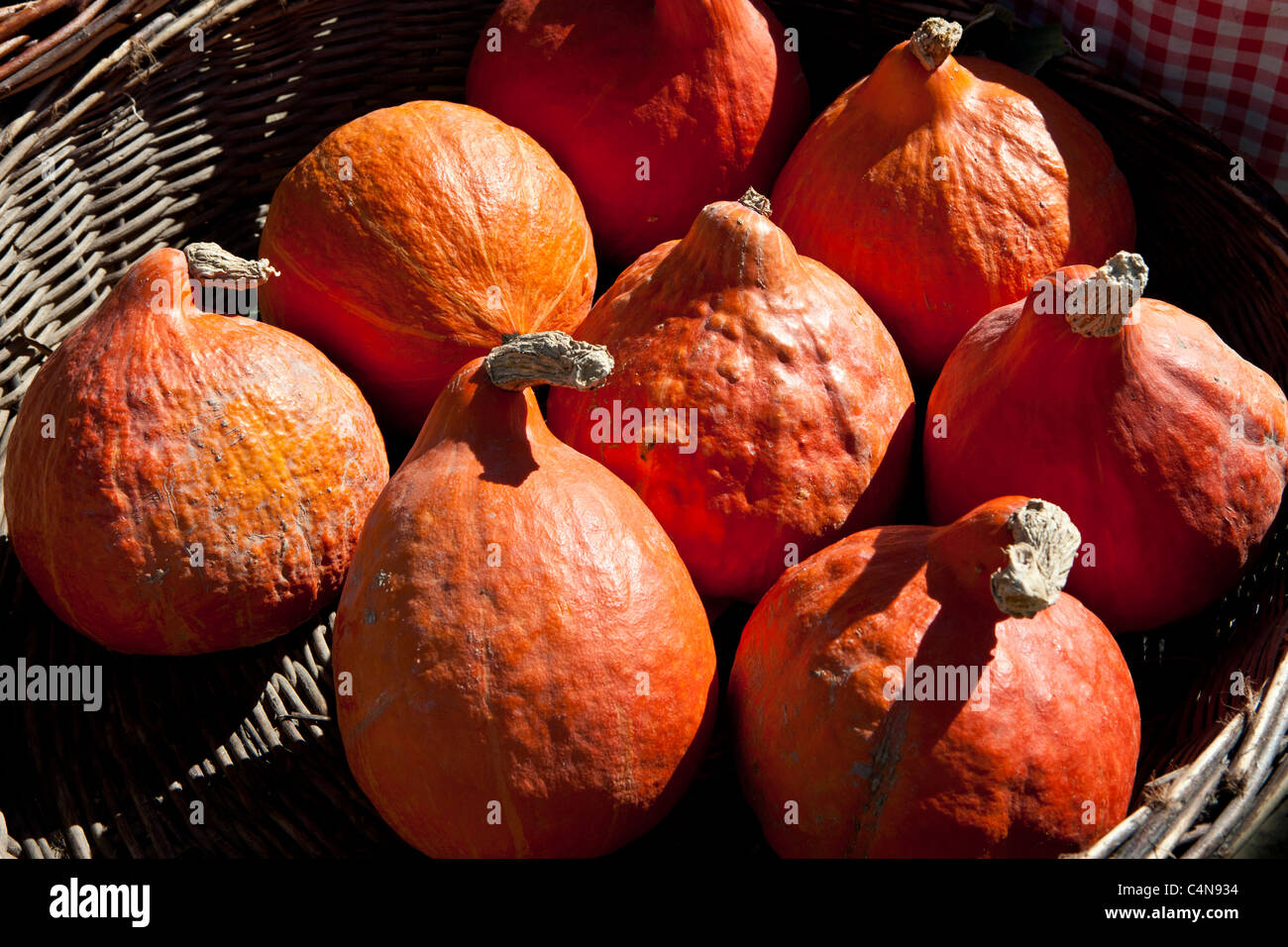 Fresh pumpkin, petit marron, on sale at food market at Sauveterre-de ...