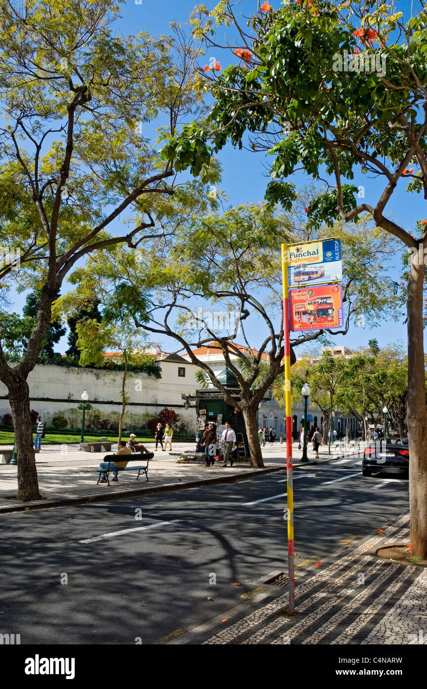 Tour bus stop in Funchal city town centre Madeira Portugal EU Europe ...