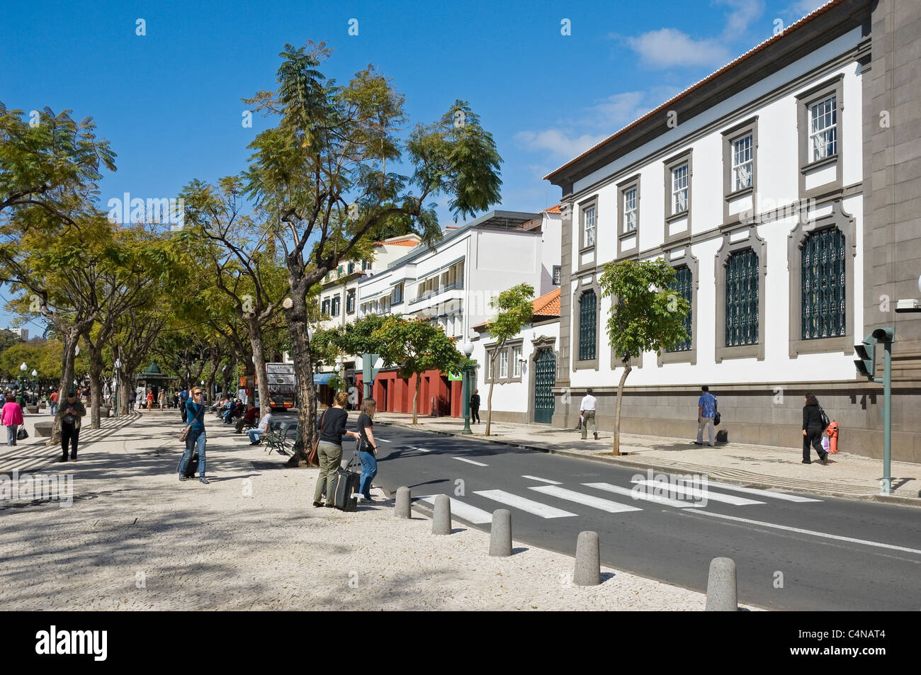 Madeira Funchal Avenida Arriaga Stock Photos & Madeira Funchal Avenida ...