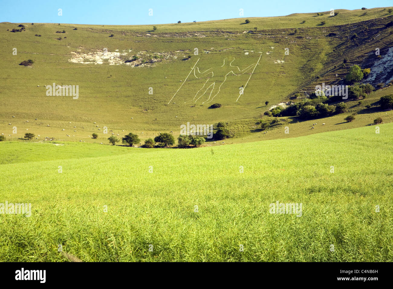 Prehistoric image in chalk hillside, The Long Man of Wilmington, East ...