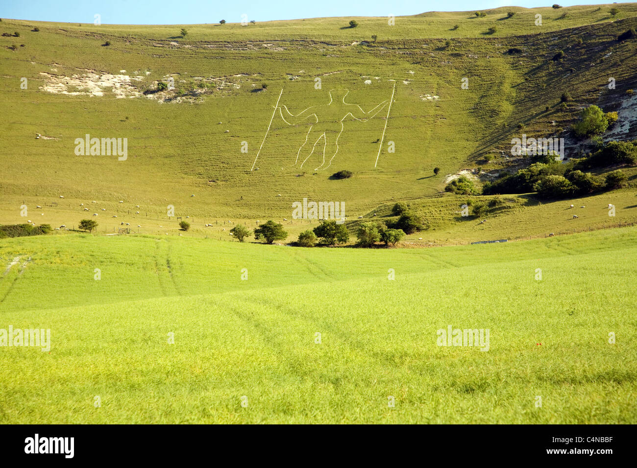 Prehistoric image in chalk hillside, The Long Man of Wilmington, East ...