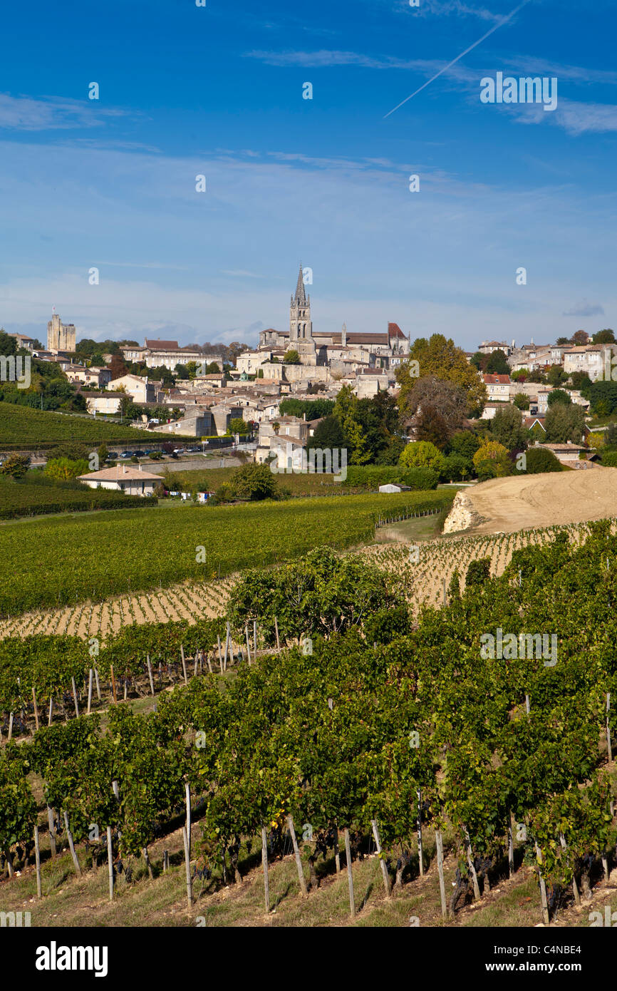 Vineyard bordeaux france hi-res stock photography and images - Alamy