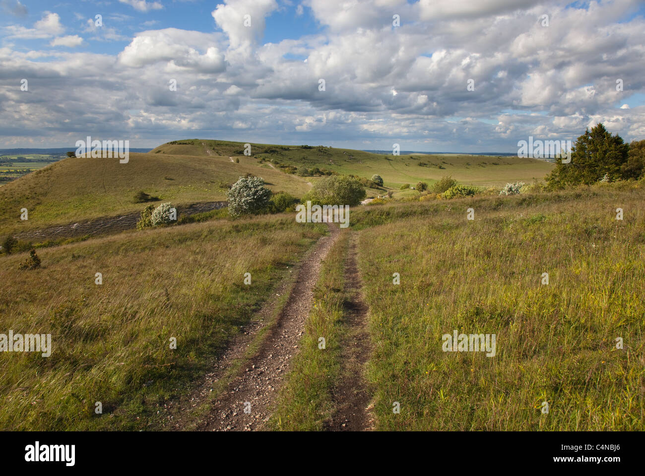 The Ridgeway Long distance path at Ivinghoe Beacon in the Chiltern ...