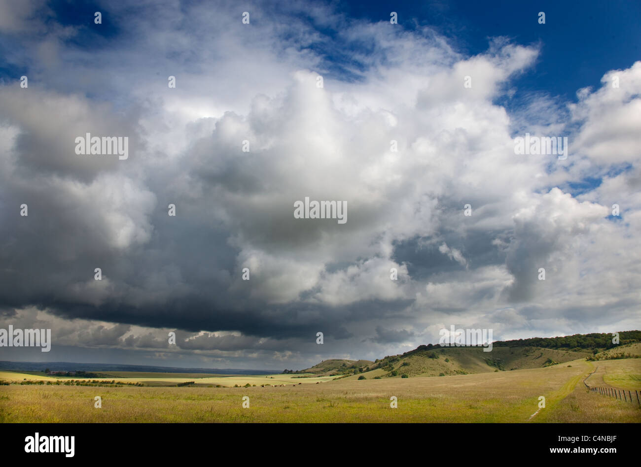 The Ridgeway Long distance path at Ivinghoe Beacon in the Chiltern ...