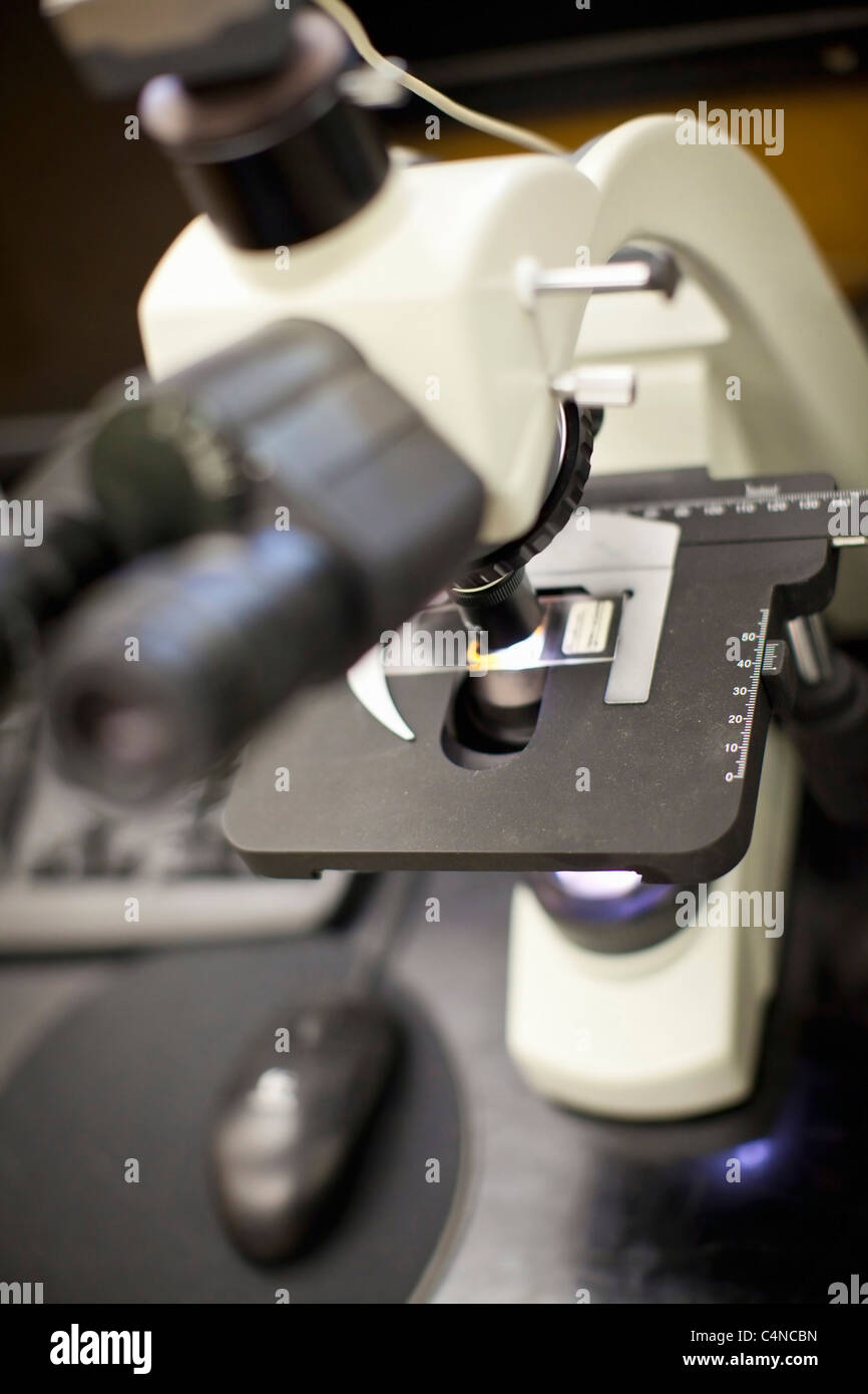 Close up microscope in laboratory hi-res stock photography and images ...