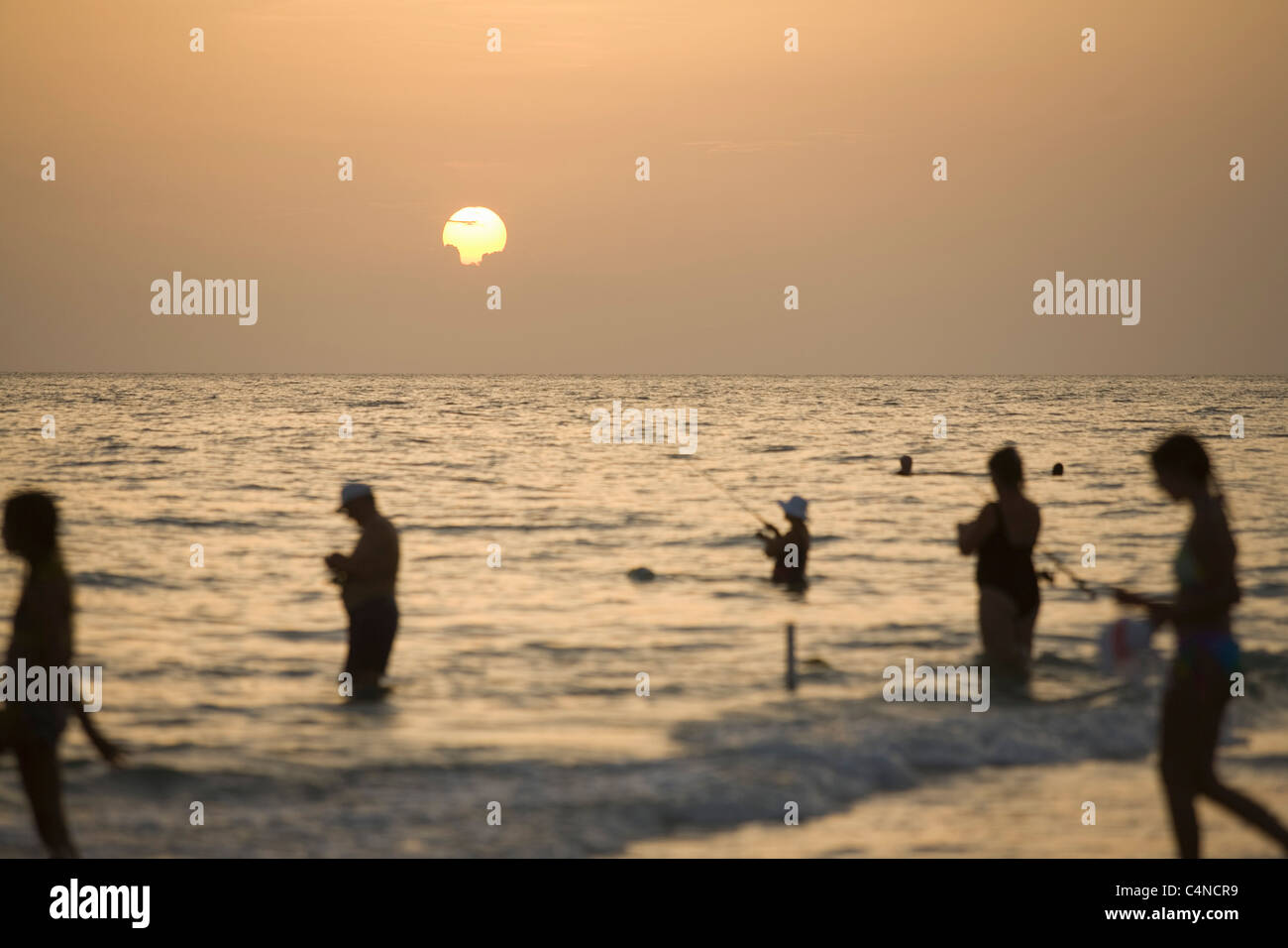 Sunset sarasota florida silhouette hi-res stock photography and images ...