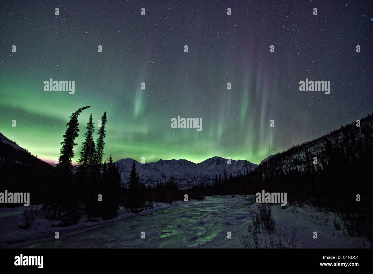 Aurora borealis over the Wheaton River, Yukon, Canada Stock Photo - Alamy
