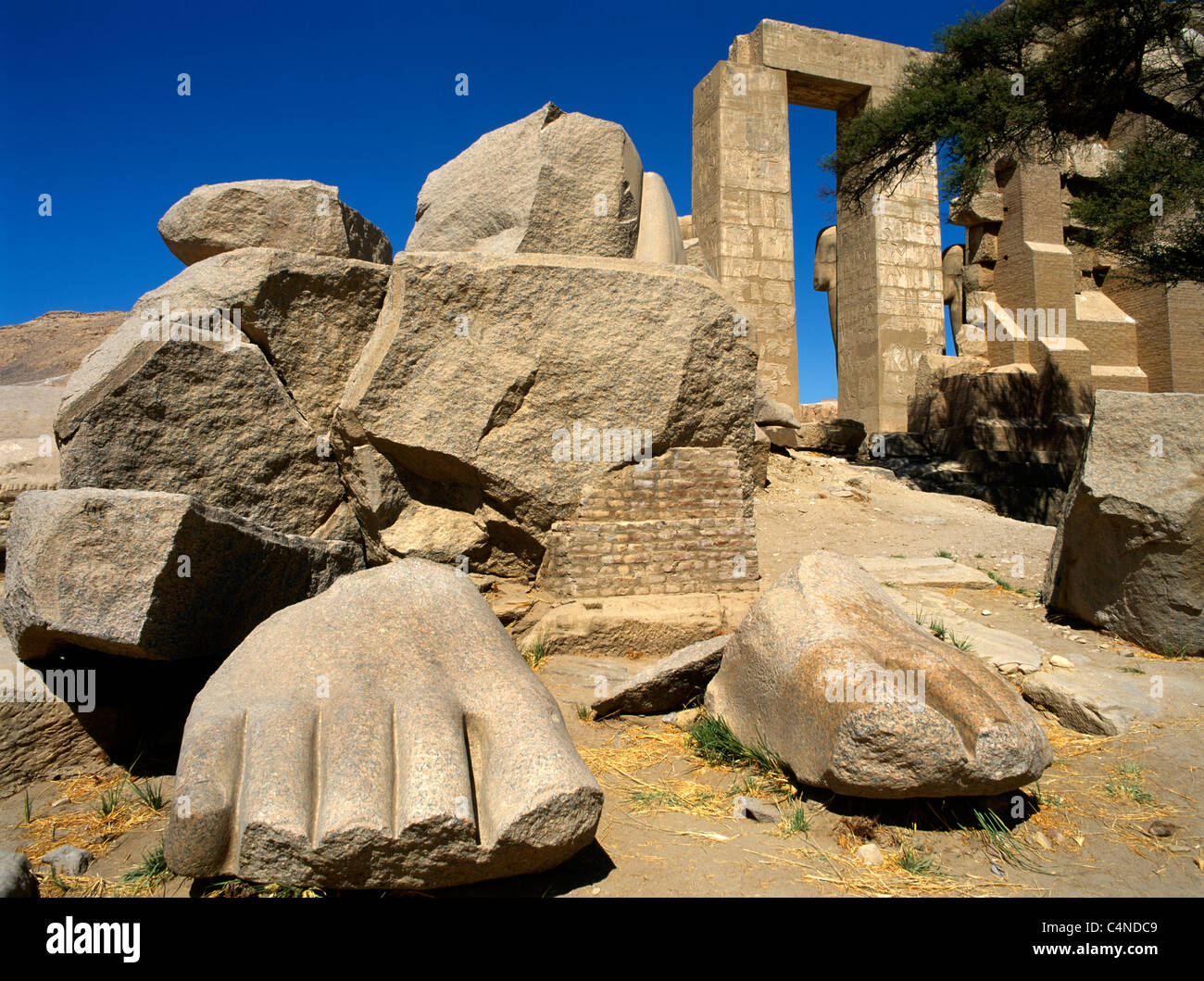 Luxor Egypt Ramesseum Feet Of Fallen Statue Of Ramses II Stock Photo ...