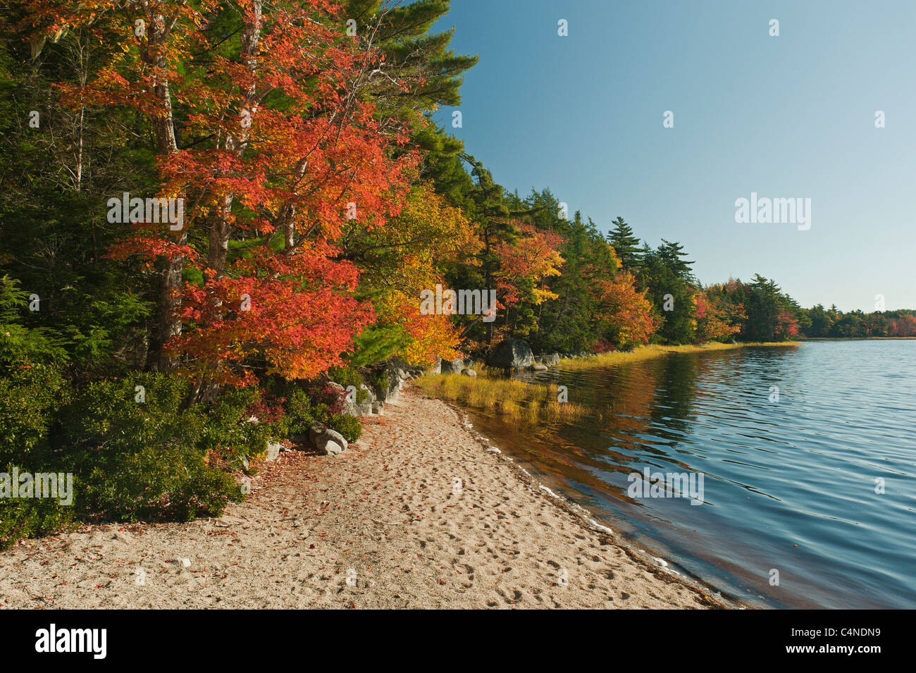 Kejimkujik Lake and Kedge Beach in autumn, Kejimkujik National Park ...