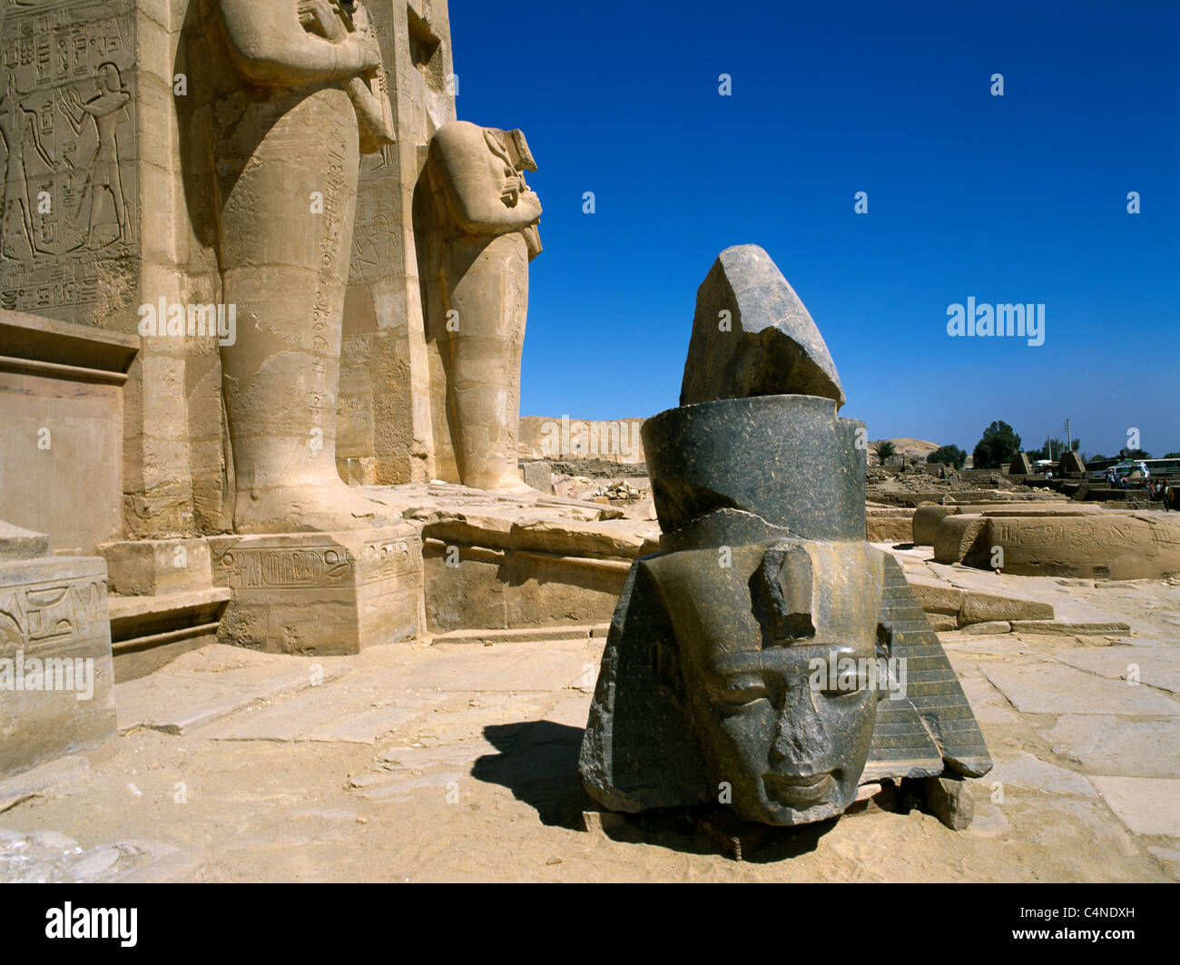 Luxor Egypt Ramesseum Head Of Colossus Of Ramses II Stock Photo - Alamy