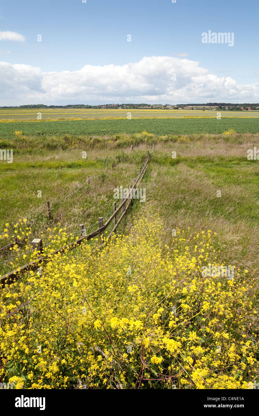 Suffolk countryside hi-res stock photography and images - Alamy