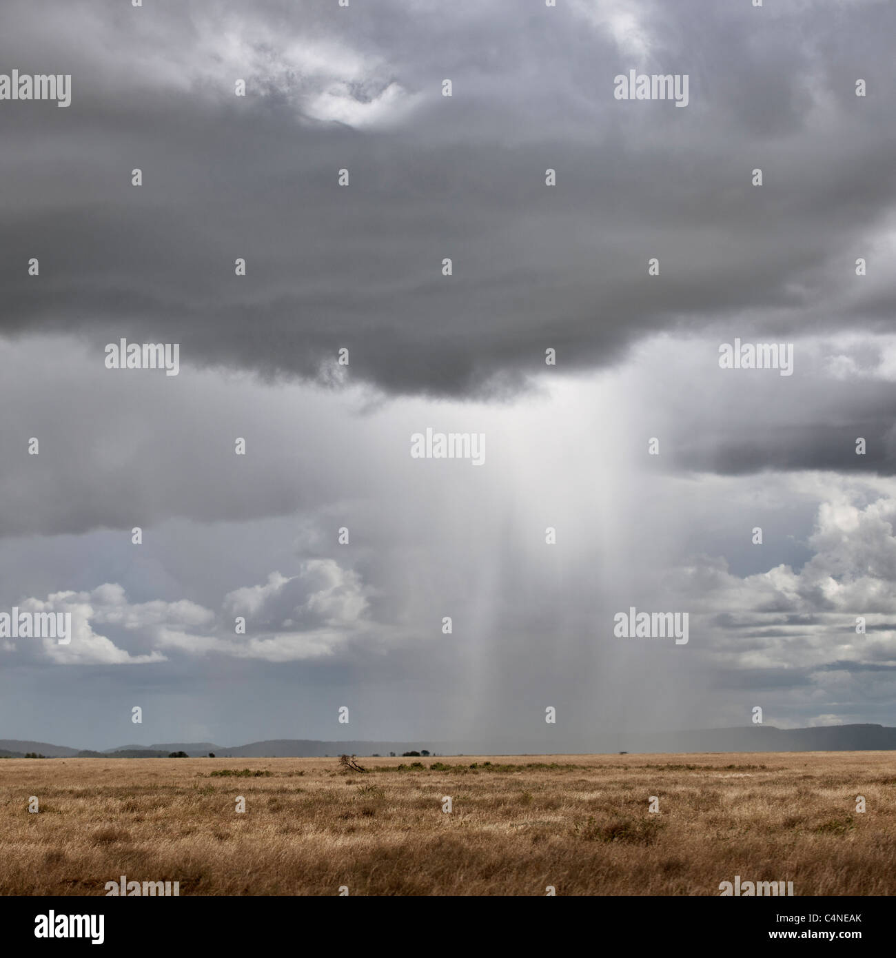 Tanzania rain hi-res stock photography and images - Alamy
