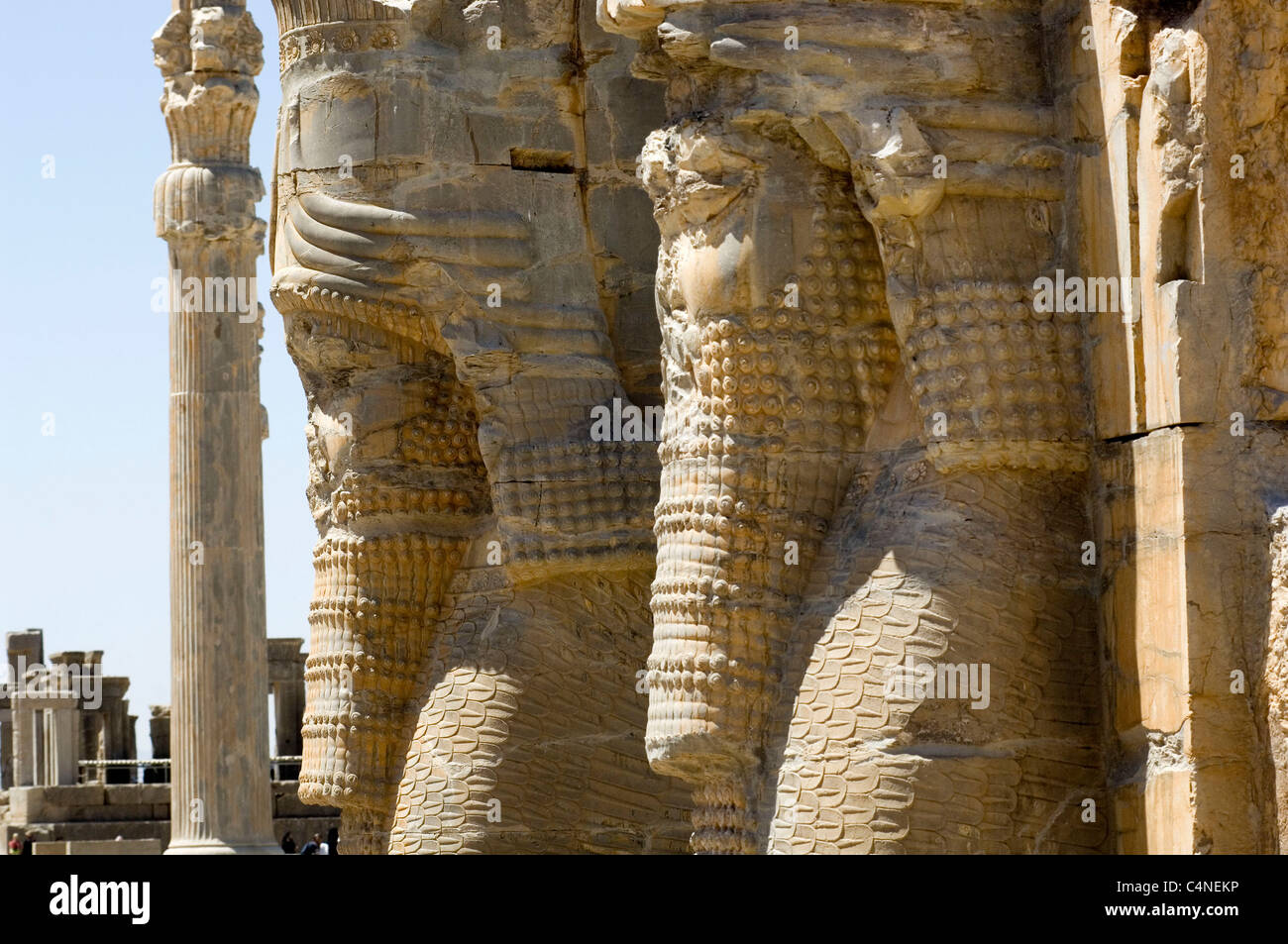 Bas-reliefs - Ruins of the Persian empire Persepolis (Iran Stock Photo ...