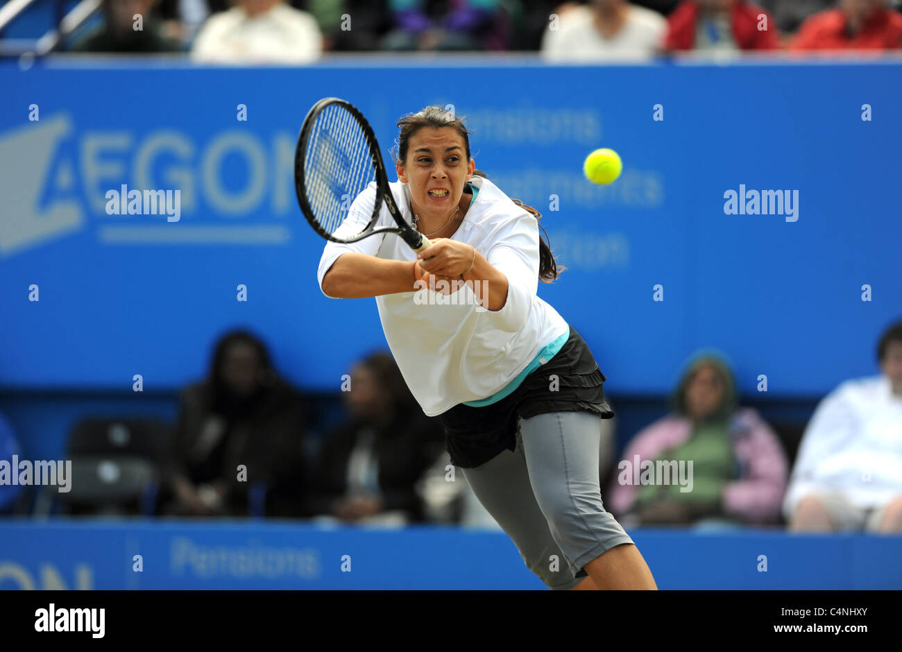 Marion bartoli hi-res stock photography and images - Alamy