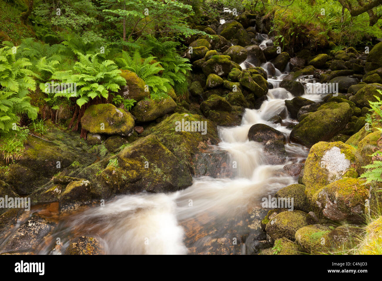 Small cascade hi-res stock photography and images - Alamy