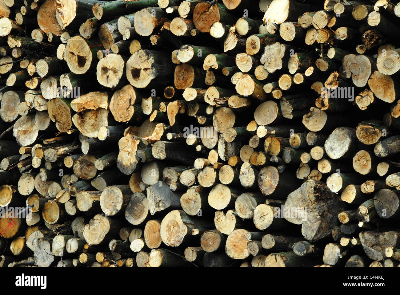 A well stacked log pile UK Stock Photo - Alamy