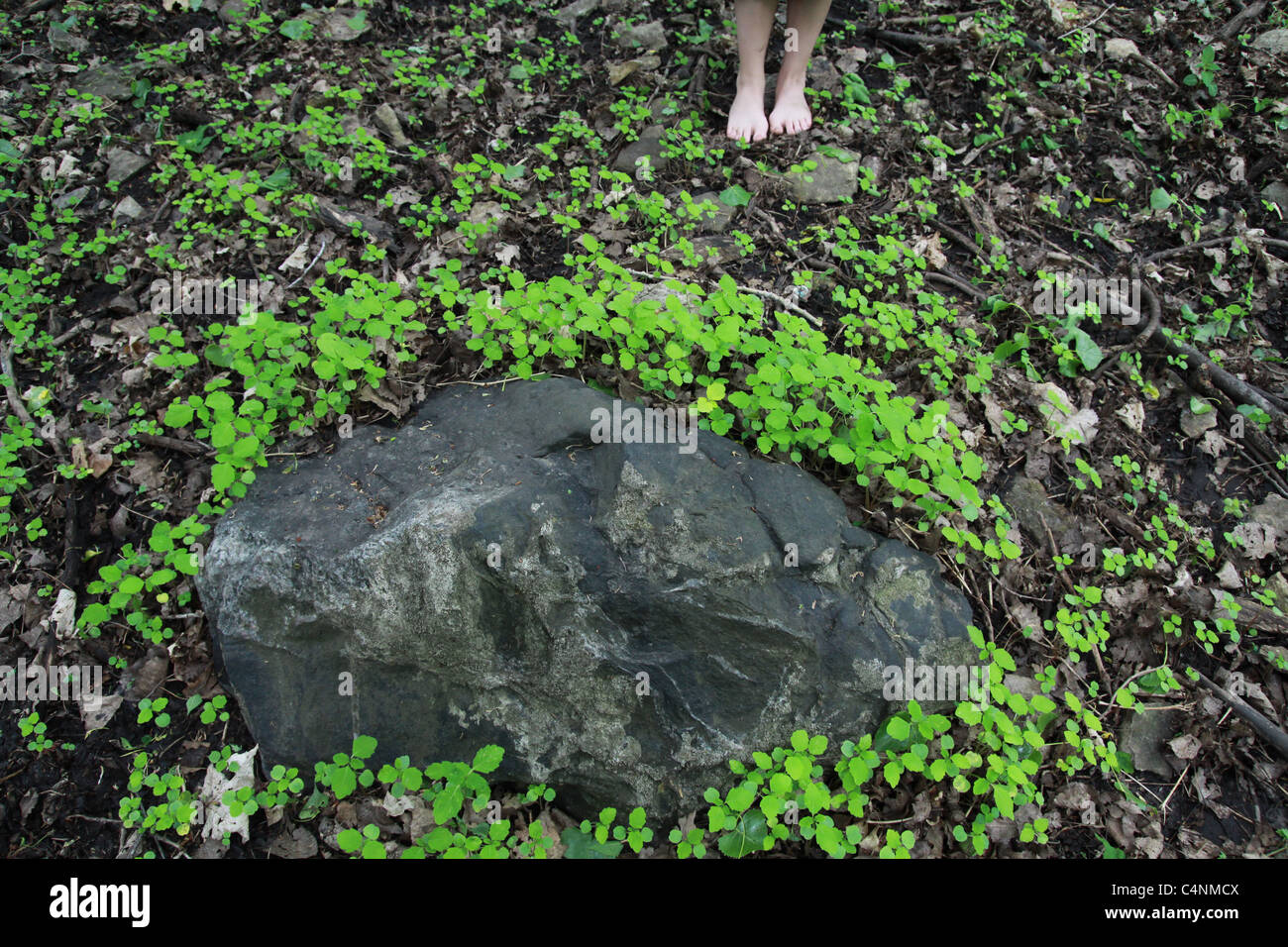 Forest floor barefoot hi-res stock photography and images - Alamy