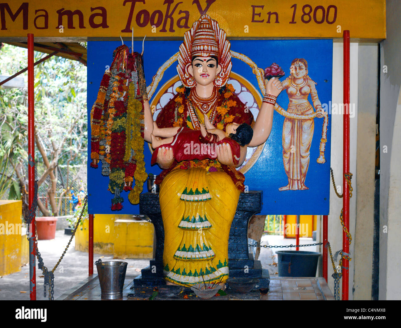 Medine Mauritius Mama Tookay at Tamil Hindu Temple for Sugarcane ...