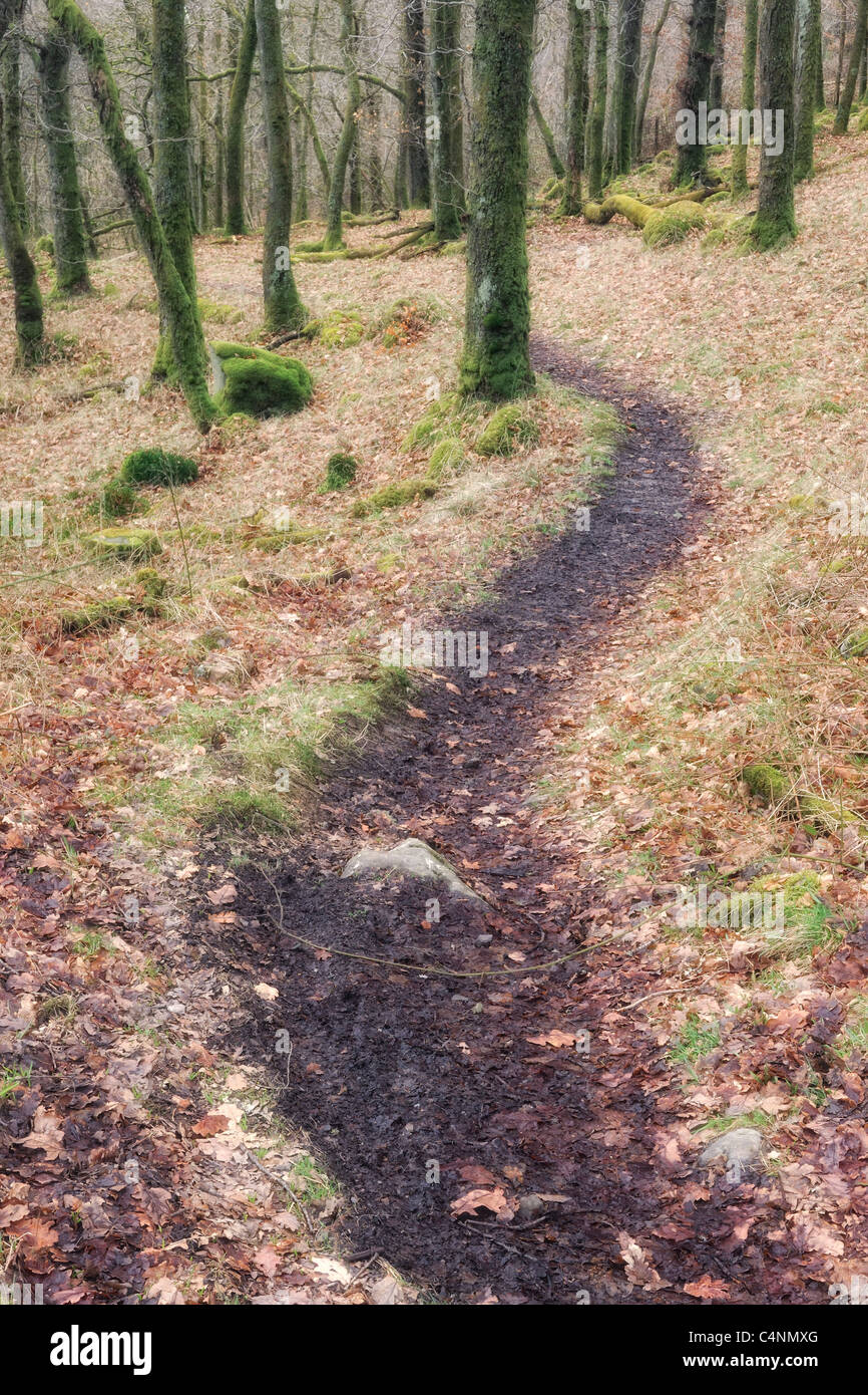 Winding pathways hi-res stock photography and images - Alamy