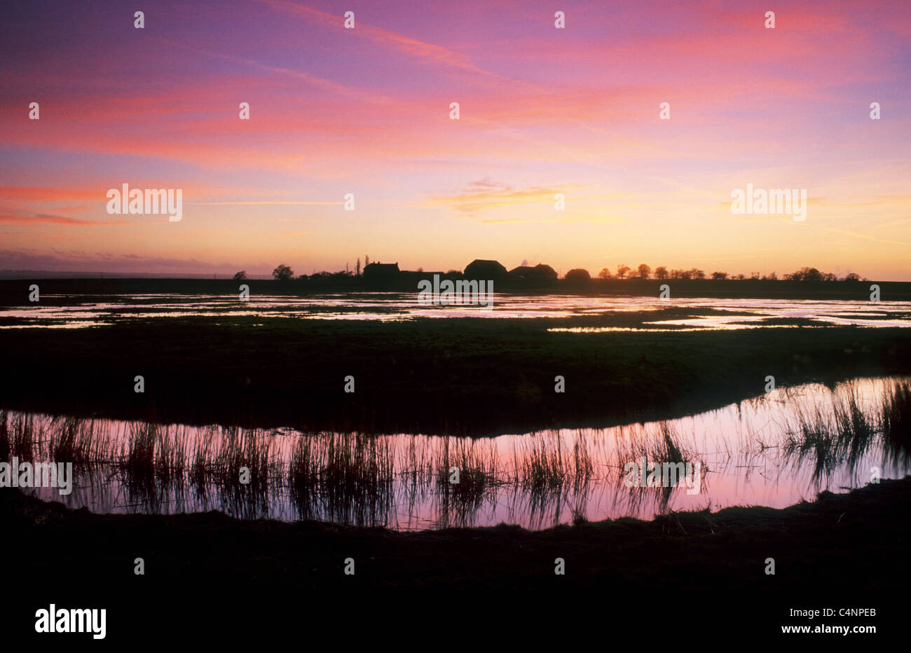 Flooded grazing marsh at sunset, Elmley Marshes, Isle of Sheppey, Kent ...