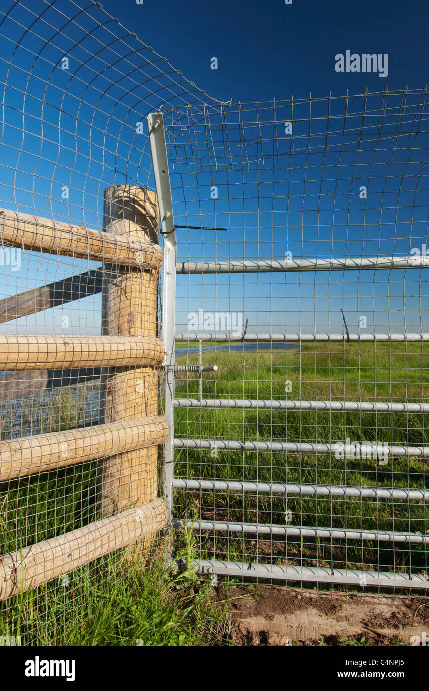 Predator control fence, Elmley Marshes RSPB reserve, Isle of Sheppey ...