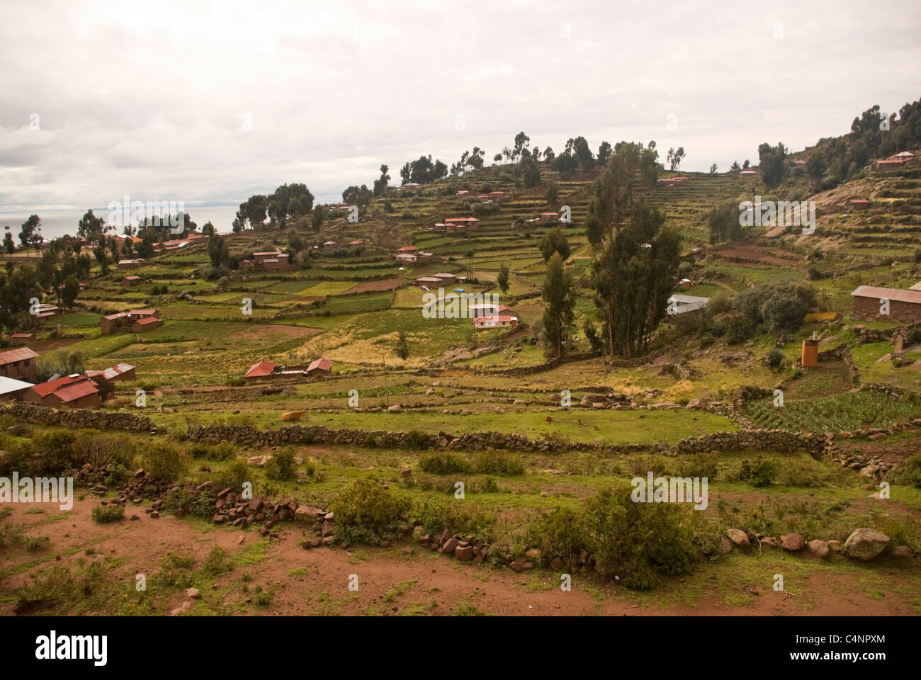 Terraced farms and houses on hillside, Taquile Island, Peru Stock Photo ...