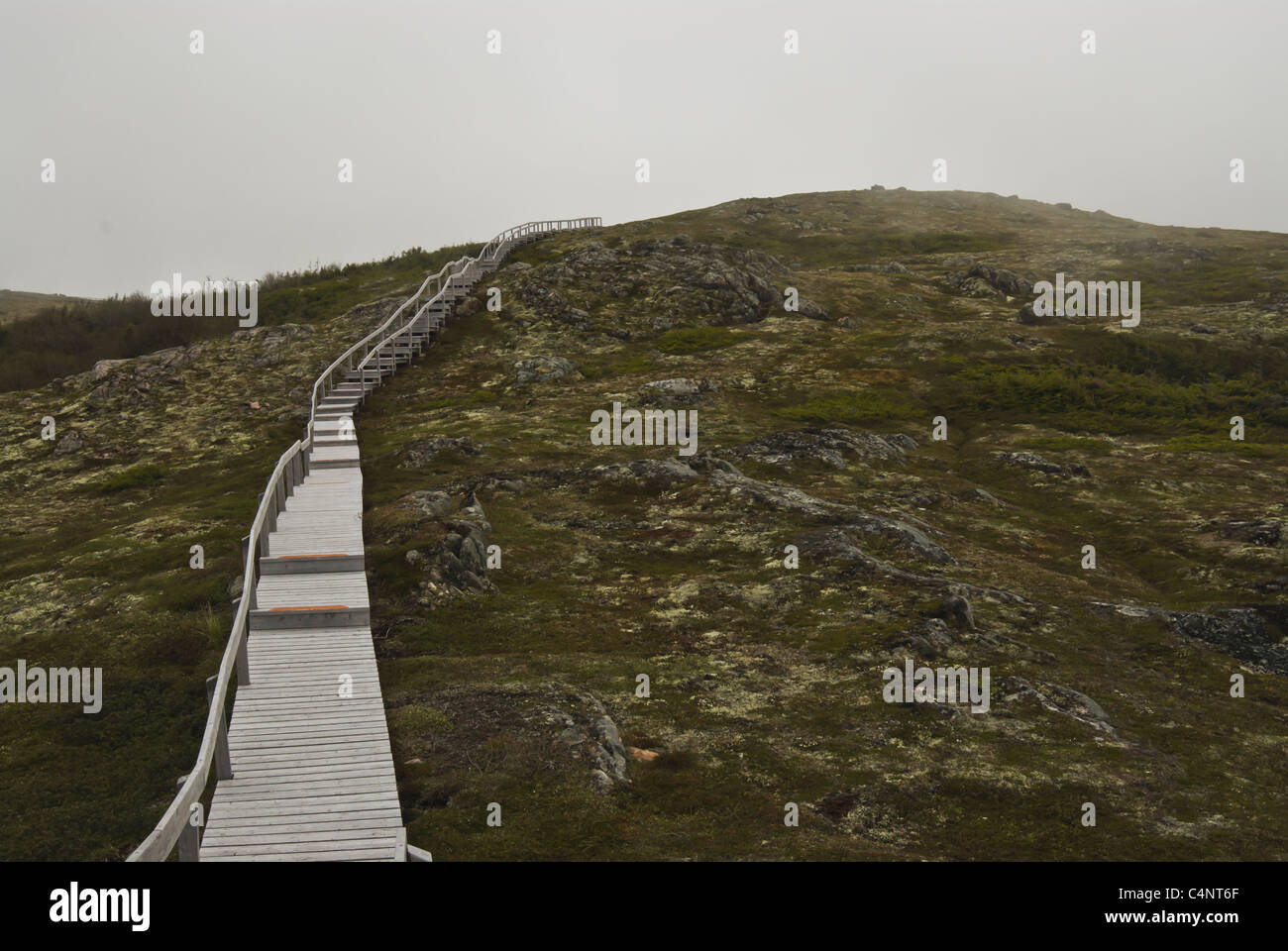Red Bay Canada Labrador High Resolution Stock Photography and Images ...