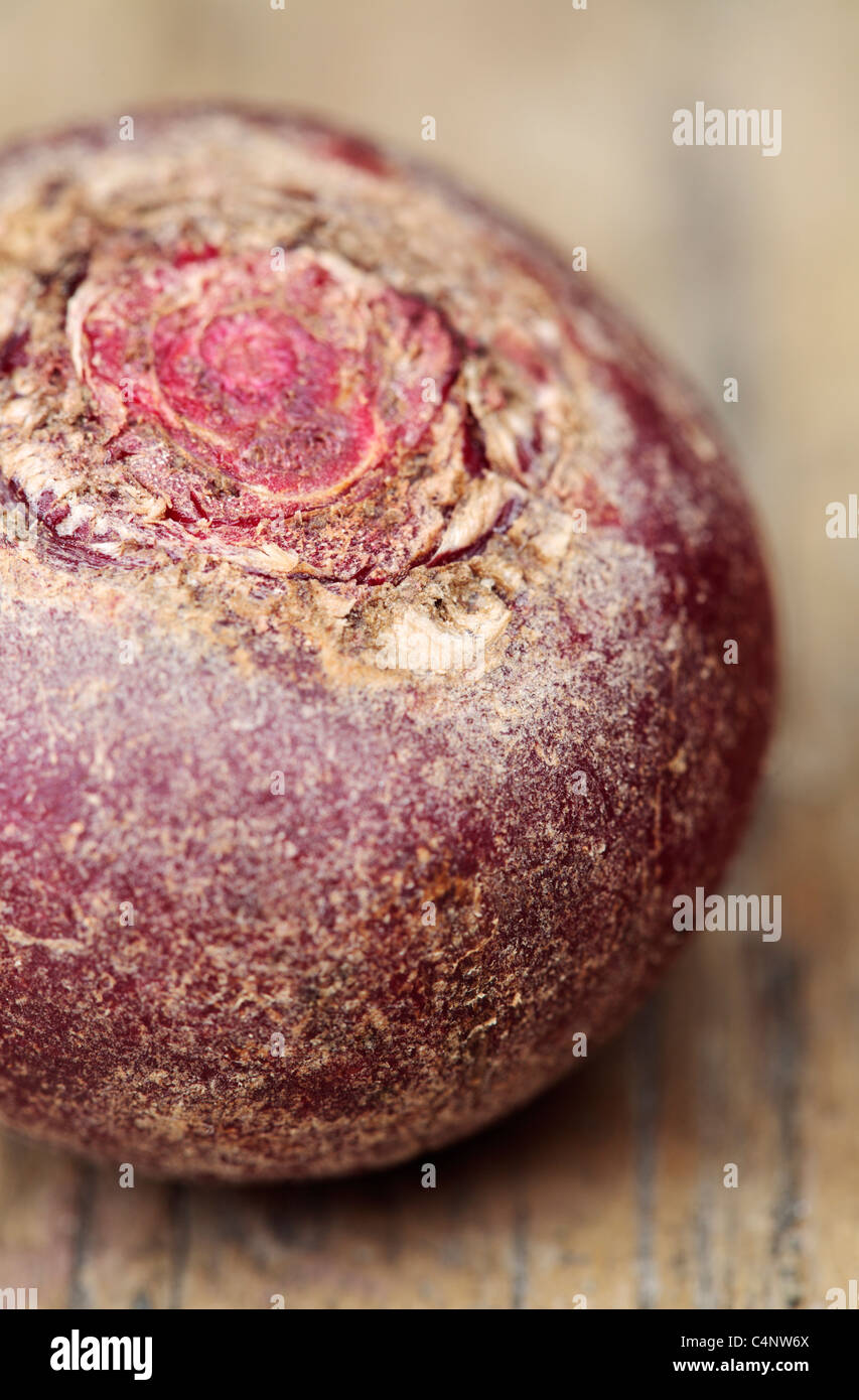 Beetroot macro hi-res stock photography and images - Alamy