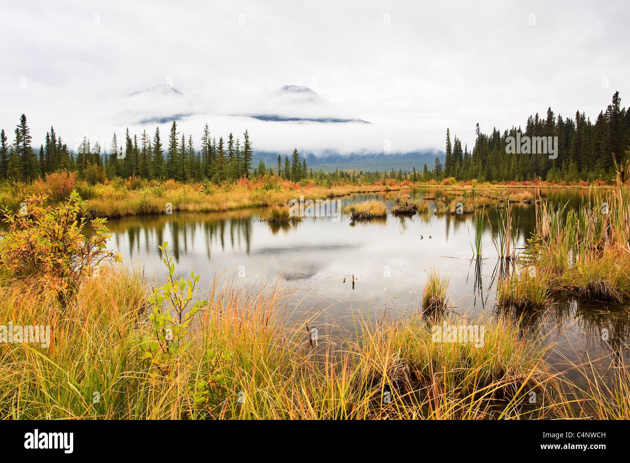Autumn colours of the Vermillion Lakes, Cascade range shrouded in cloud ...