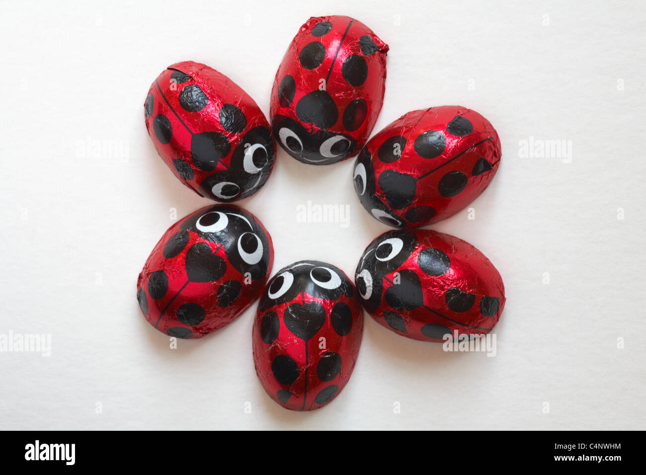 Circle of 6 six foil wrapped ladybird bug chocolates chocolate ...
