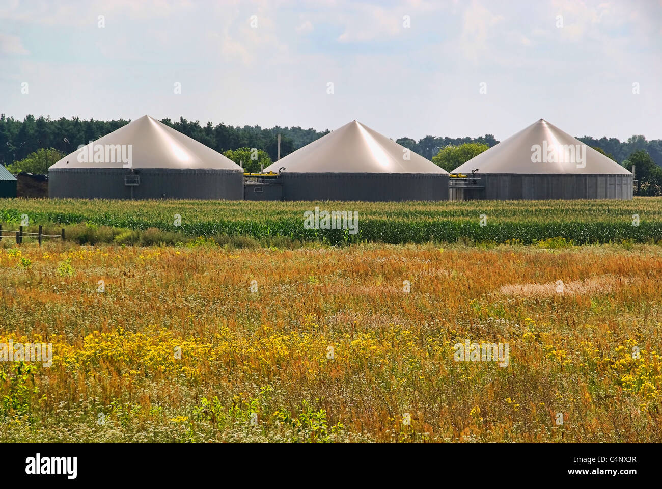 Biomass energy plant hi-res stock photography and images - Alamy