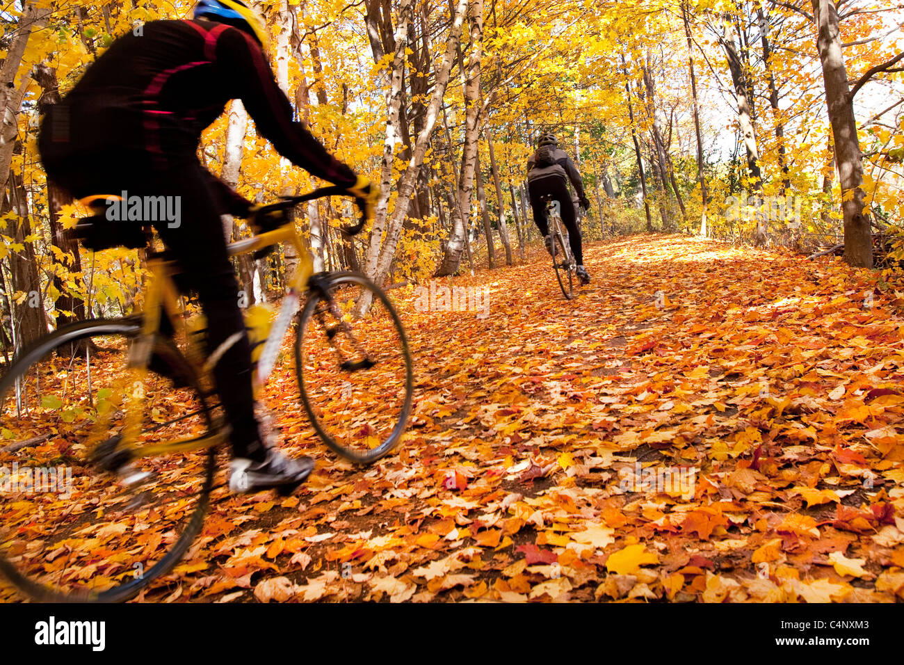Cyclist riding in autumn on Humber Trail, Toronto, Ontario, Canada ...