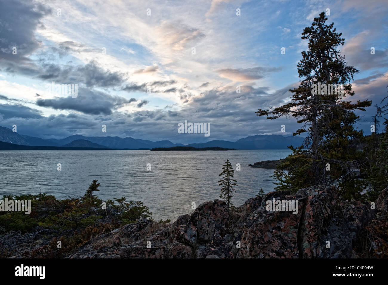 Looking north on Atlin Lake in Atlin Provincial Park, British Columbia ...