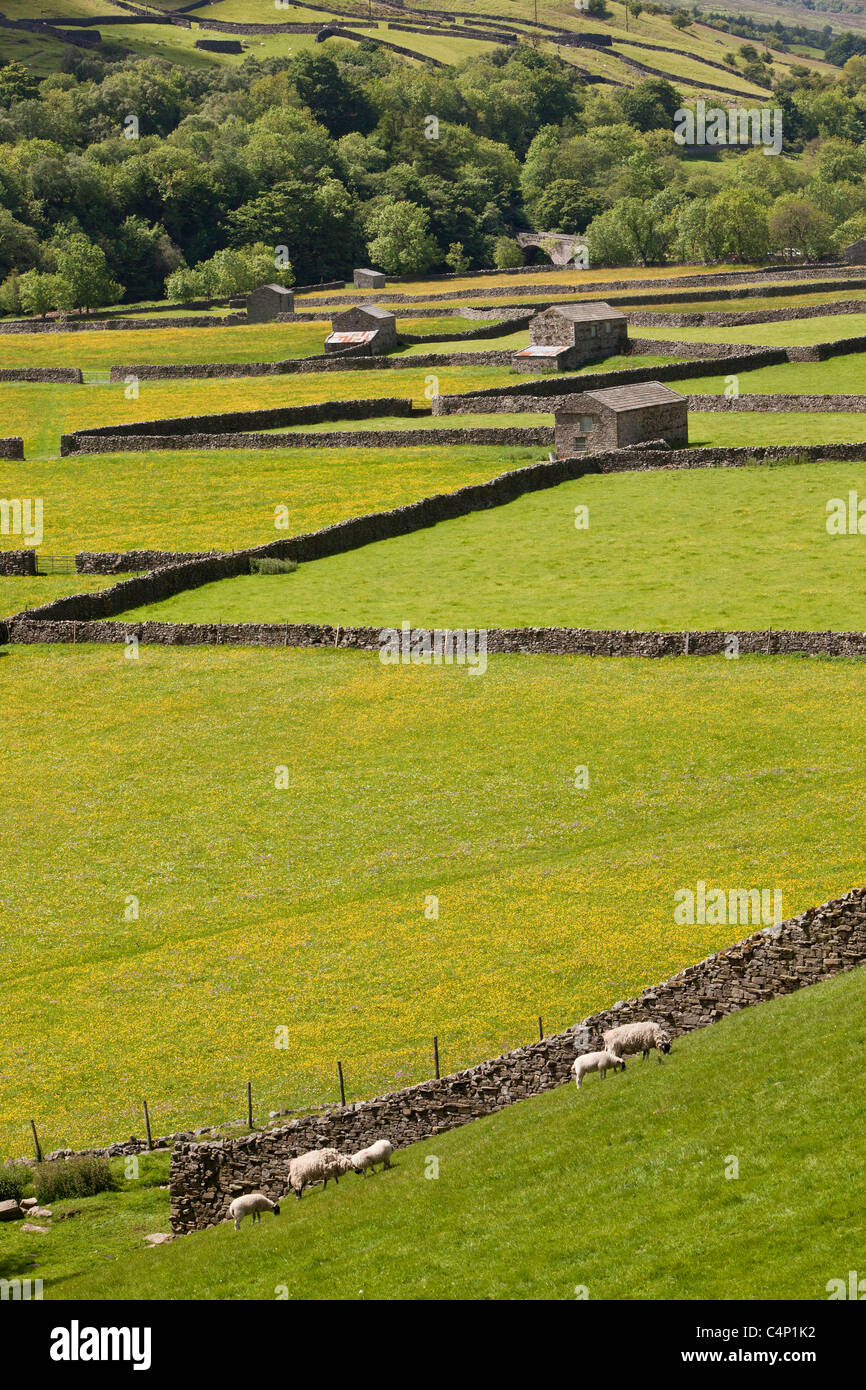 Sheep barns hi-res stock photography and images - Alamy
