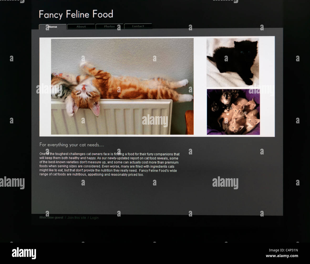 Fictious Mock Up Website Stock Photo - Alamy