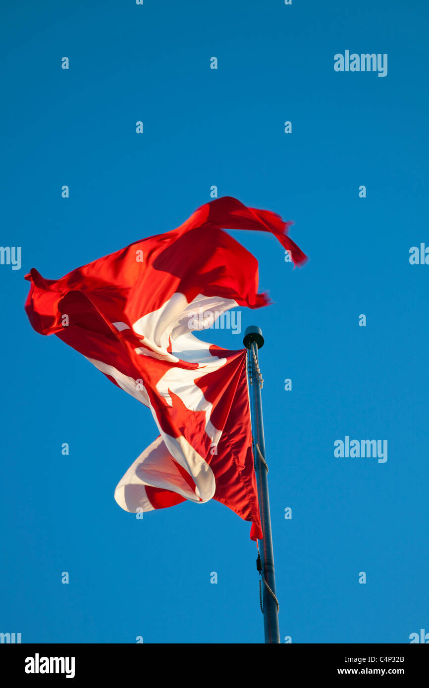 Flapping canadian flag hi-res stock photography and images - Alamy