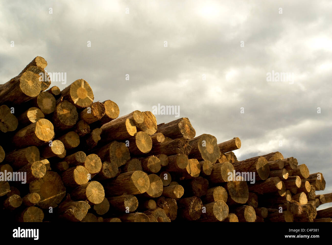 Logs piled high hi-res stock photography and images - Alamy
