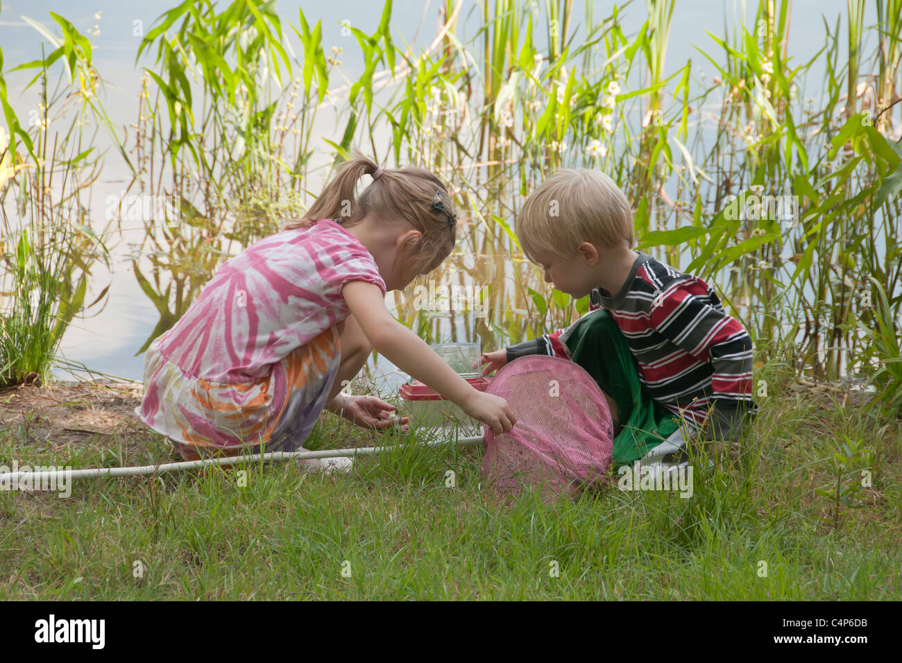 Young girl looking at bug hi-res stock photography and images - Alamy